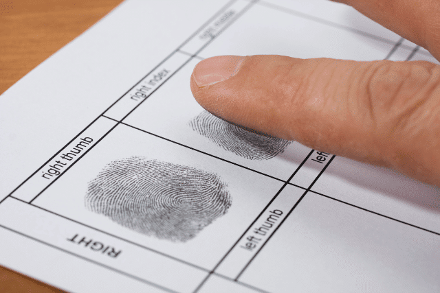 Google fingerprinting: Dodging privacy to enable ads? I Cassie